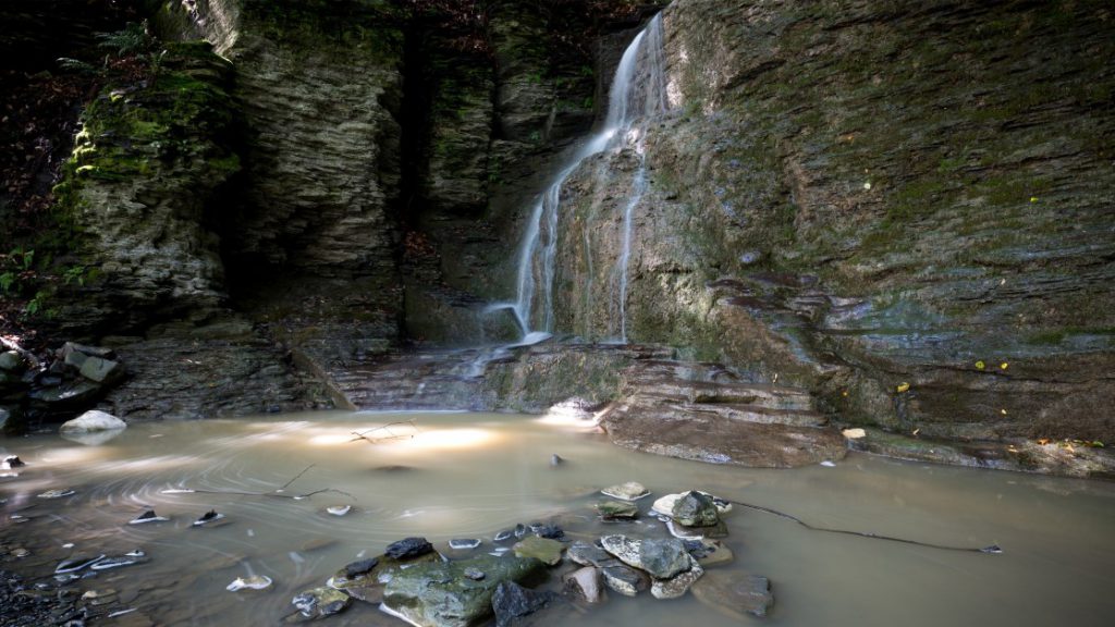 GALLERY - Fall Brook